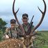 Maui Hunting Safari LLC - Axis Deer Maui, Hawaii Axis Deer | Maui ...