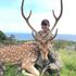 Maui Hunting Safari LLC - Axis Deer Maui, Hawaii Axis Deer | Maui ...