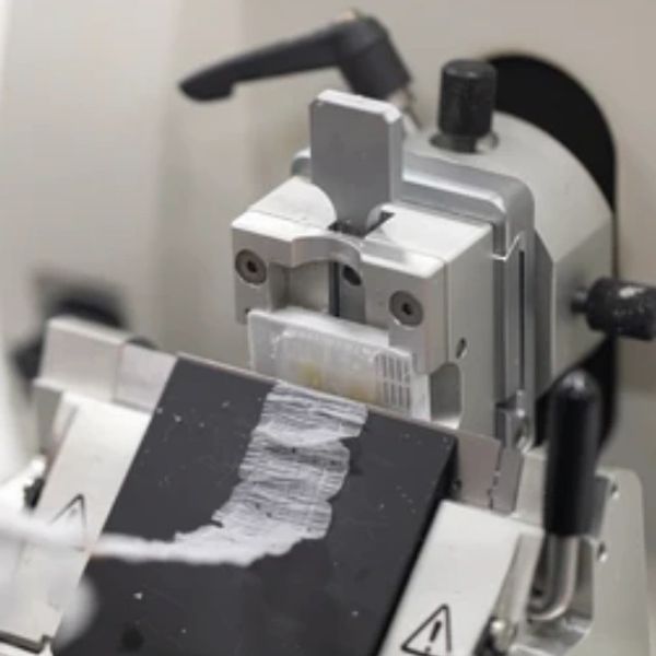 Top Histology Pathology Lab Services | AnaPath Solutions