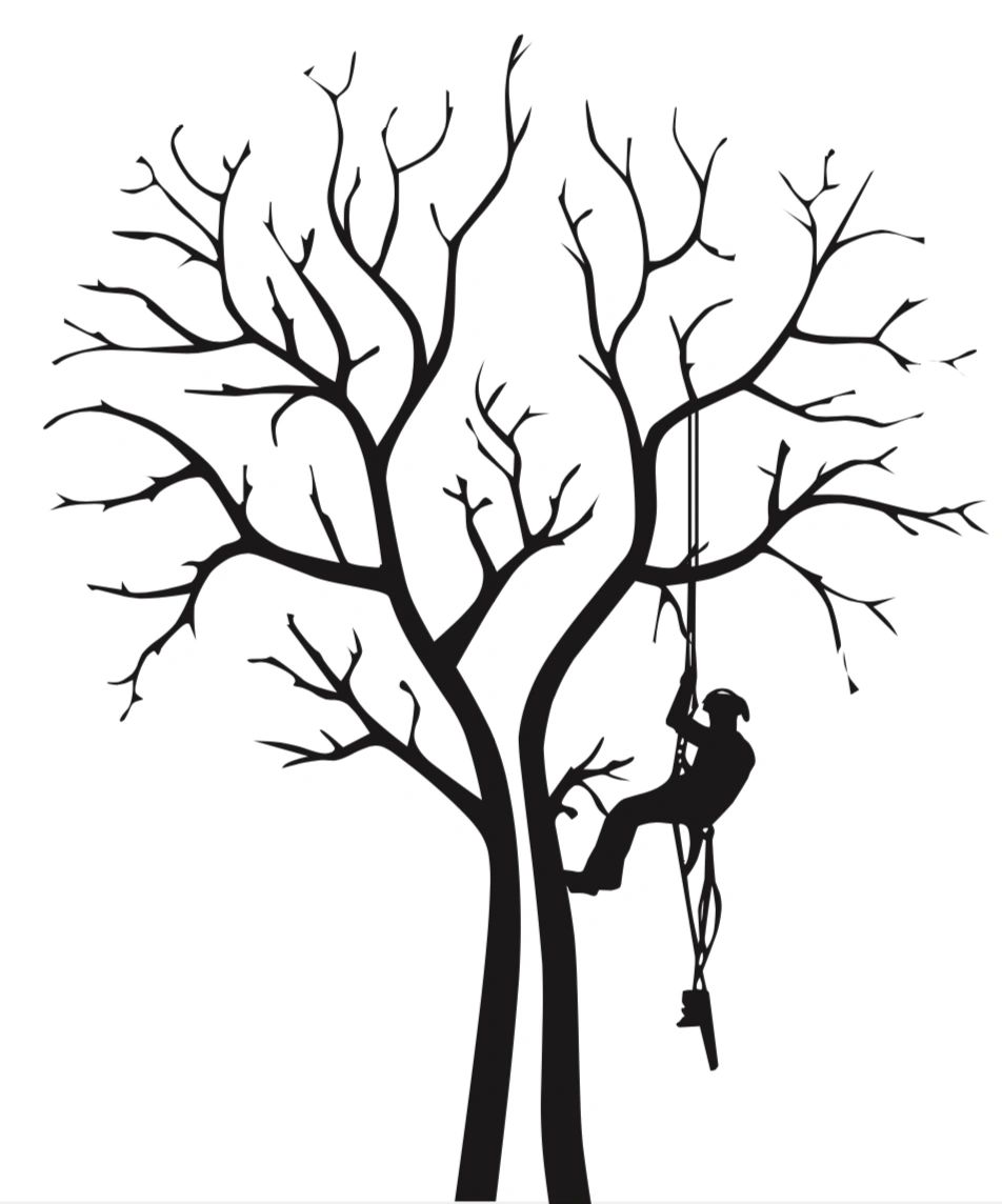 Precision Tree Service LLC