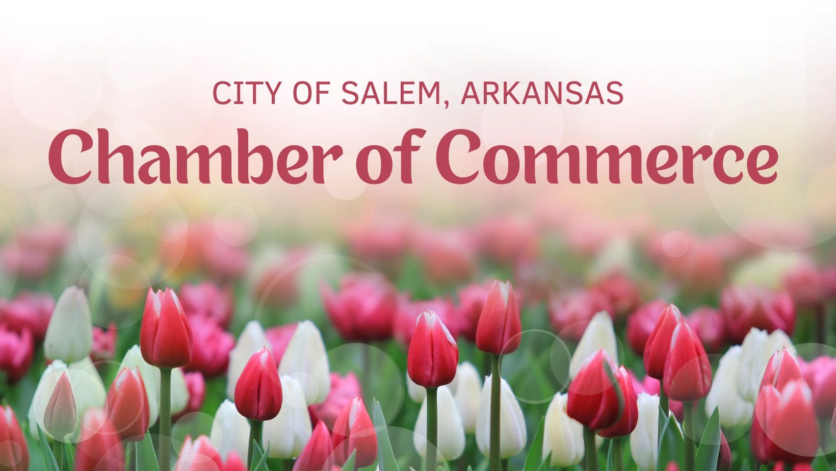 Salem Chamber of Commerce