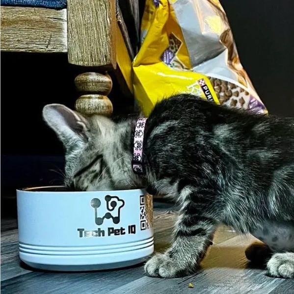 Optimize Your Pet's Health with Real-Time Consumption Monitoring