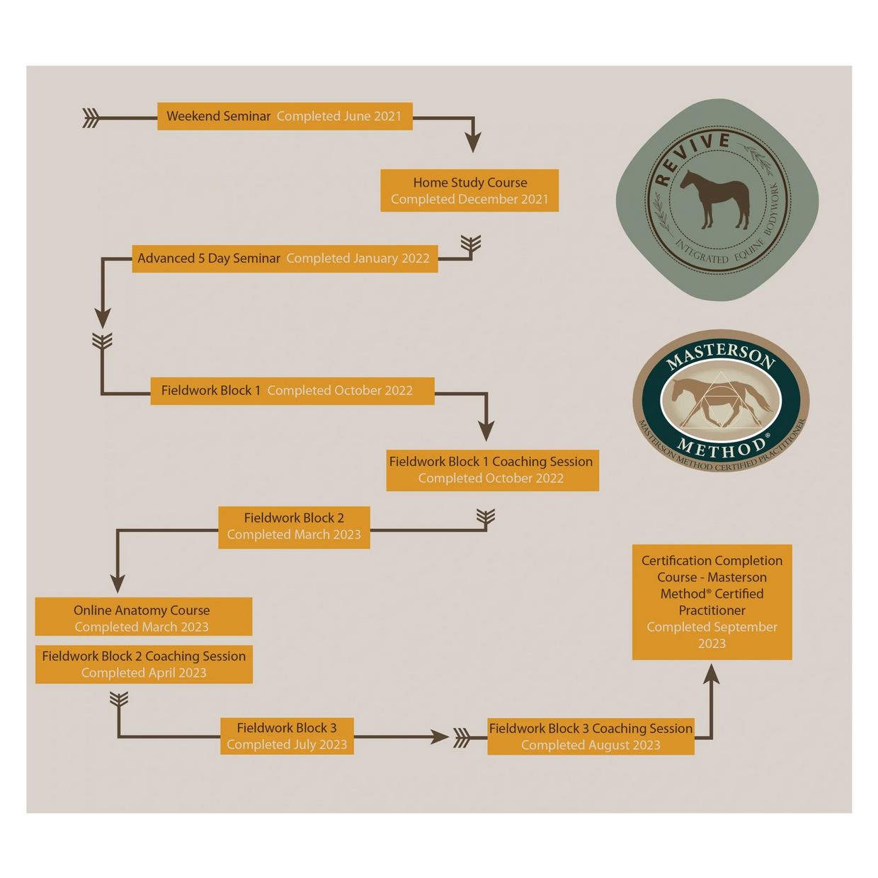 Revive Integrated Equine Bodywork in Bozeman, Montana