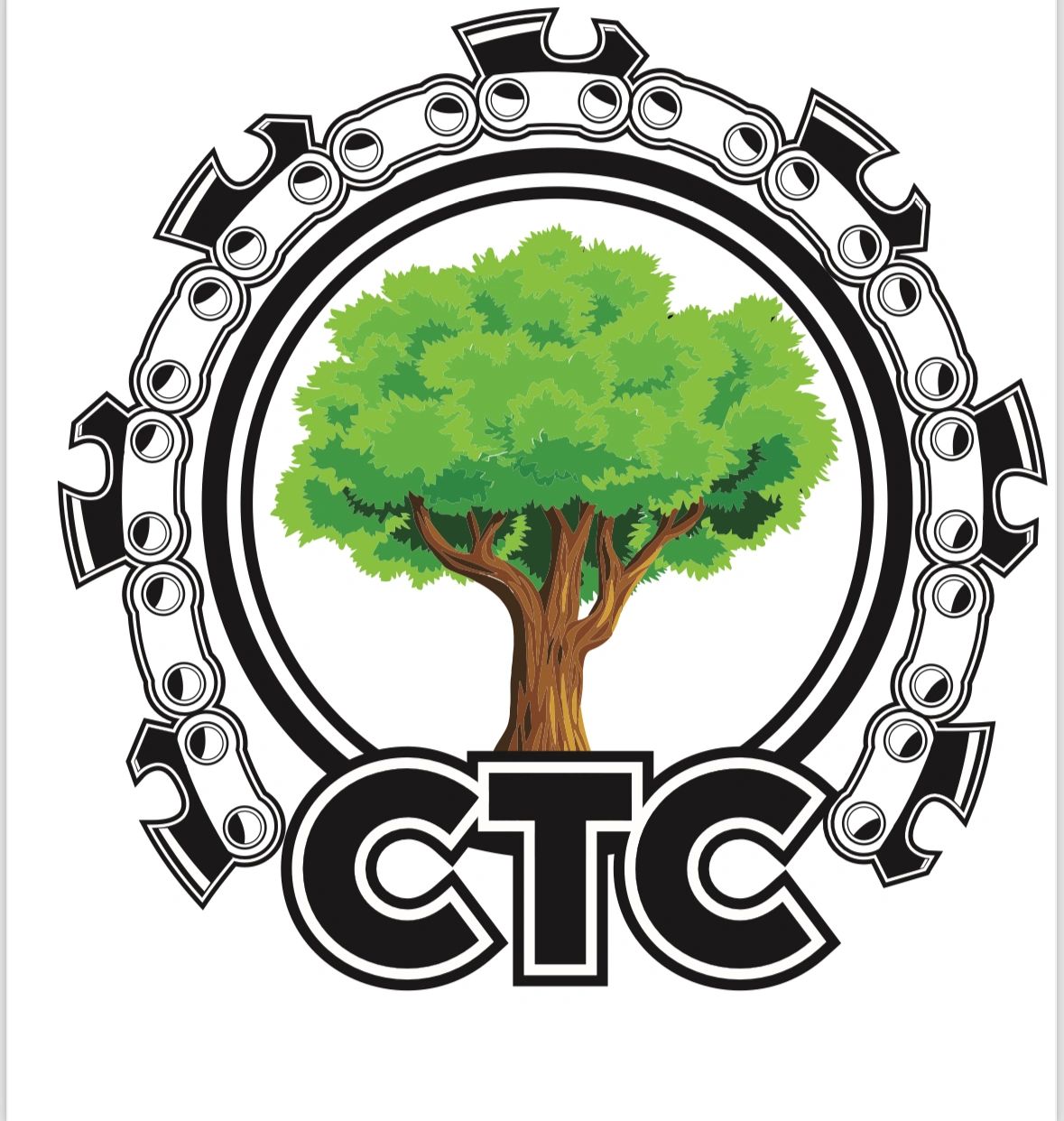 Expert Tree Removal & Trimming Services | Cassidy Tree Care