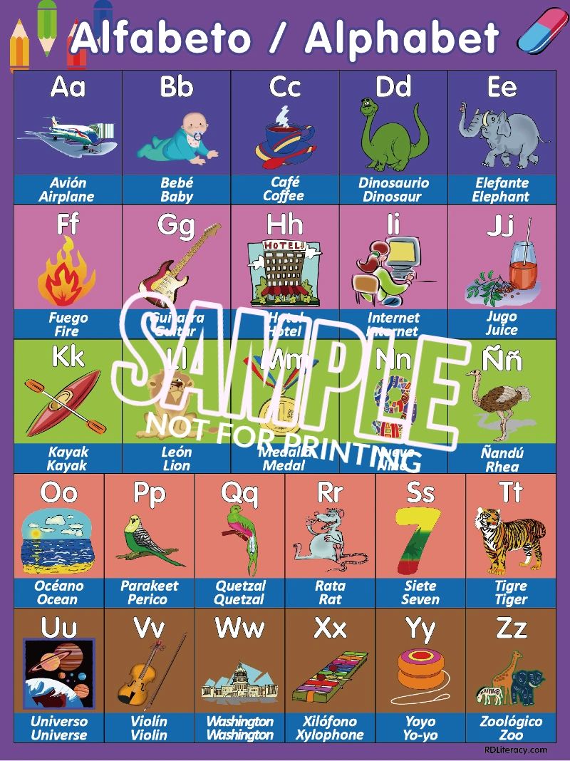 Alphabet Spanish & English Poster - Bilingual