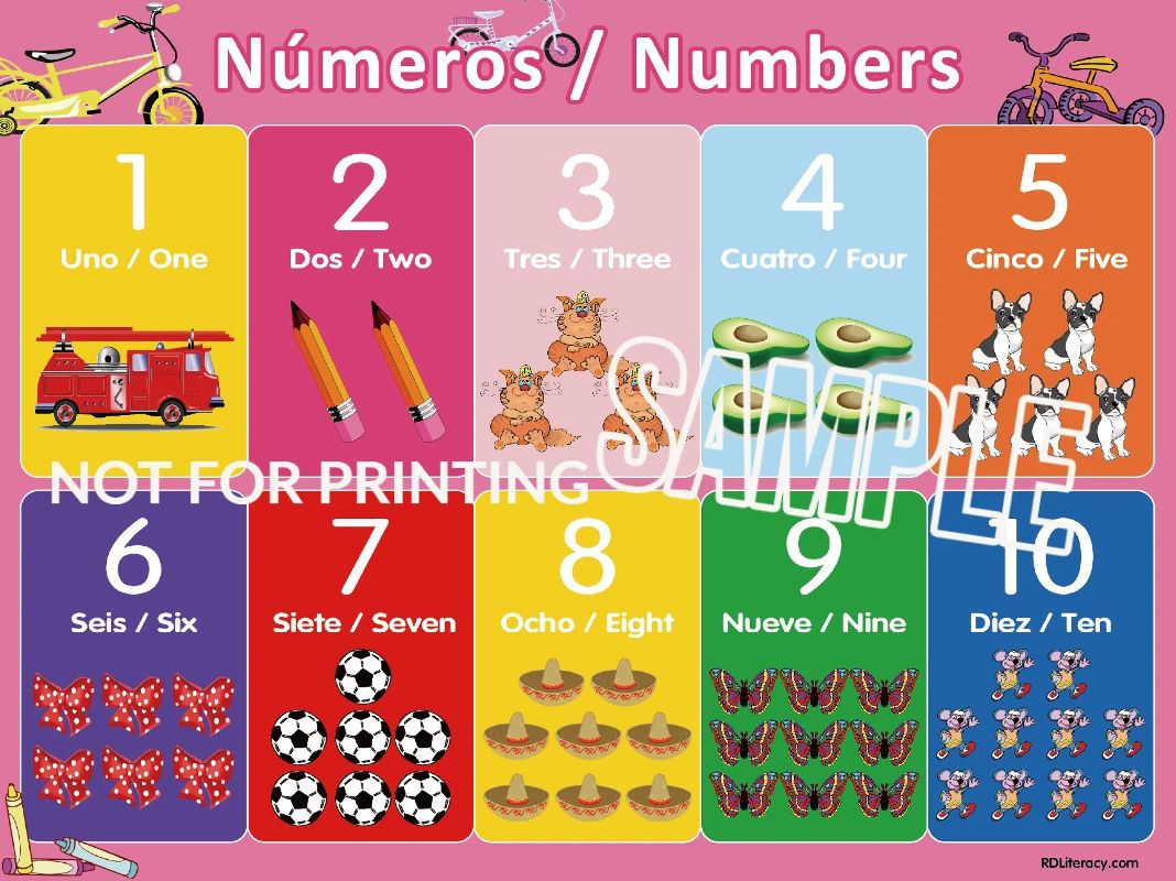 Numbers Spanish & English Poster