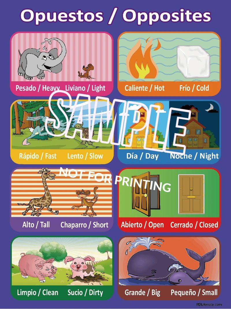 Opposites Spanish & English Poster - Bilingual