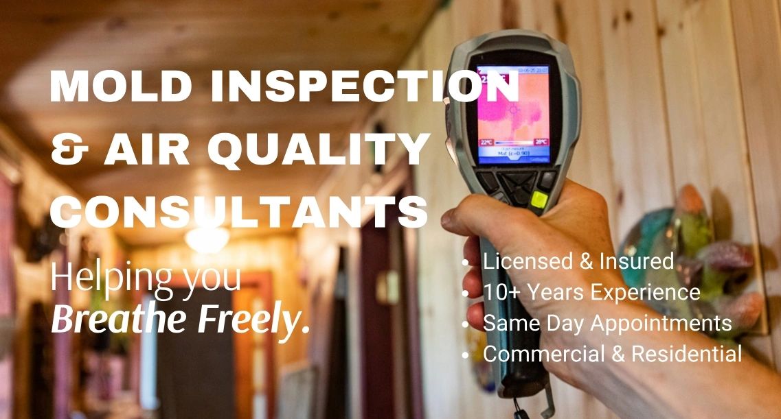 Mold Inspections, Testing & Air Quality Experts Fort Lauderdale