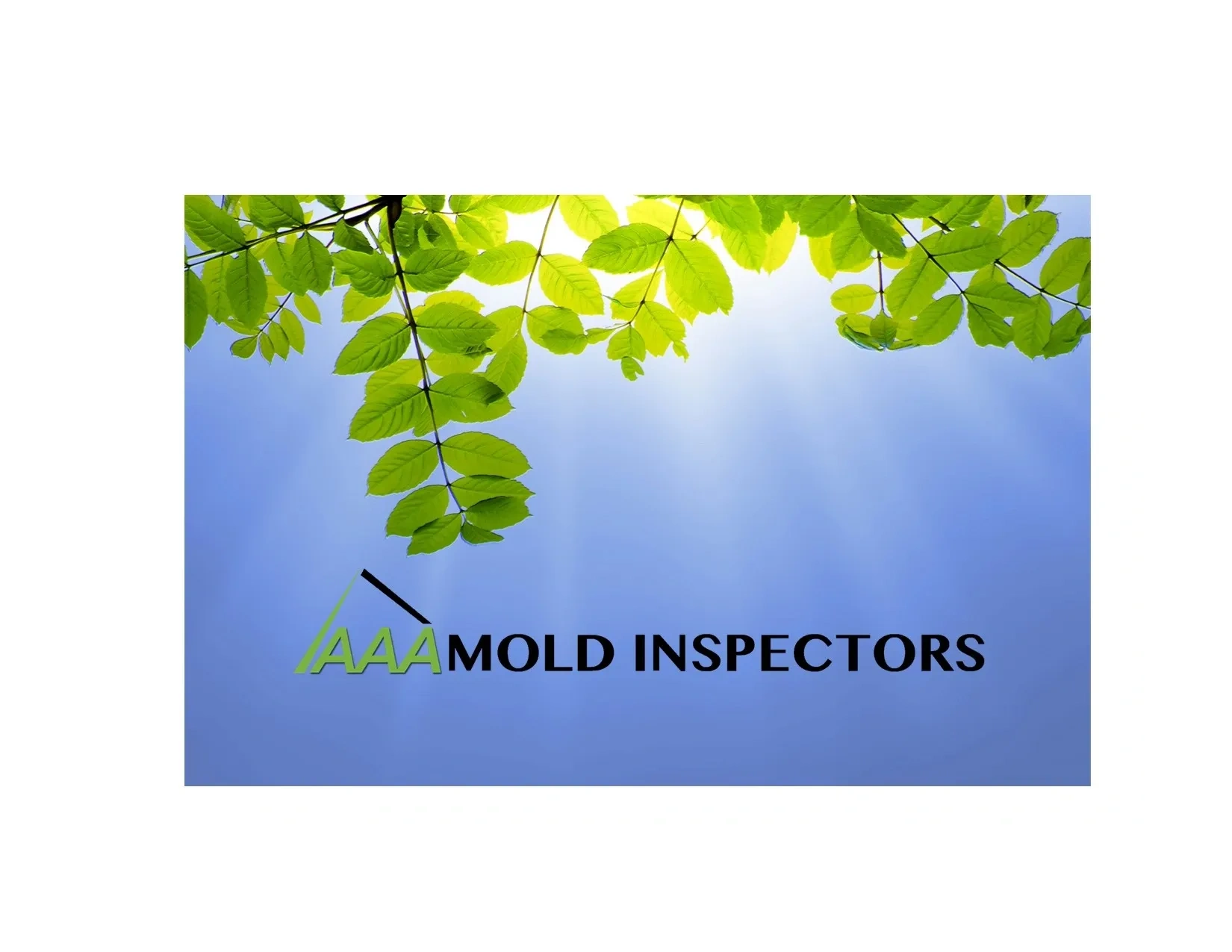 AAA Mold Inspectors - Air Quality, Home Inspector, Mold Inspections