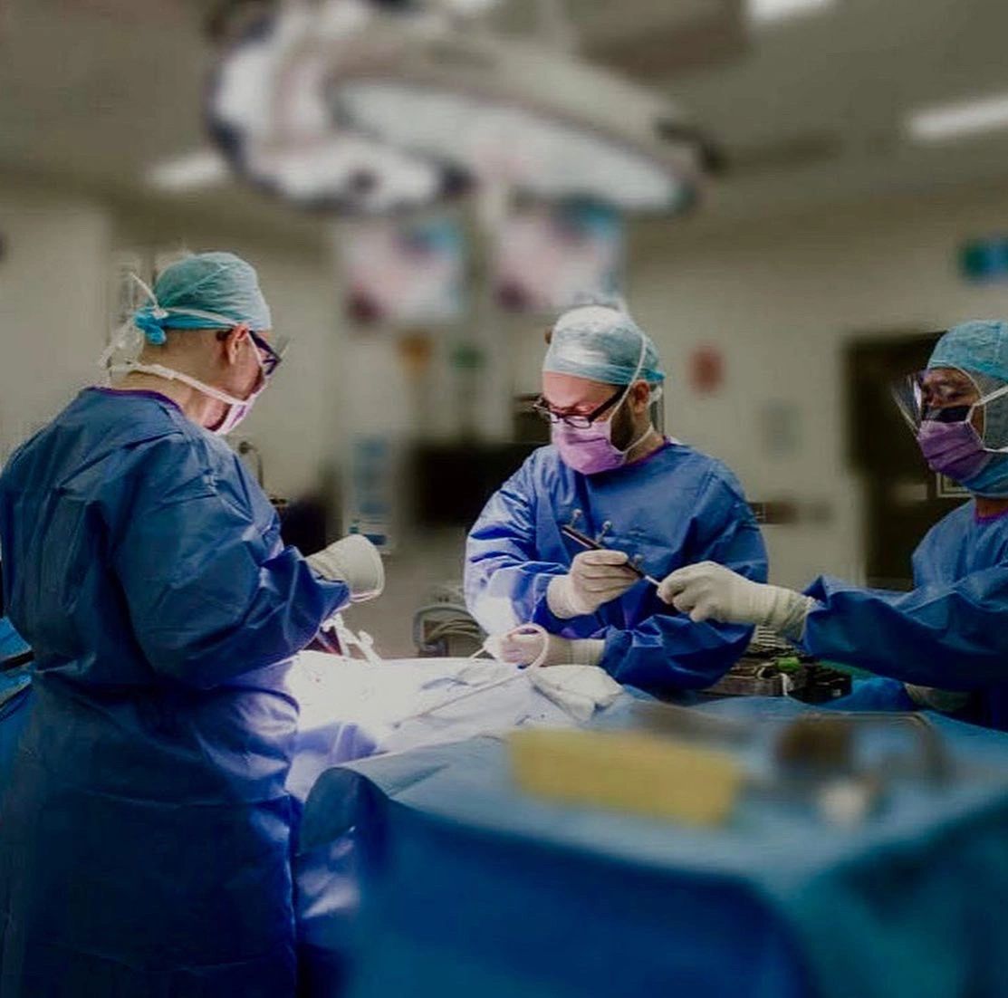 What is a 'Neurosurgeon'?