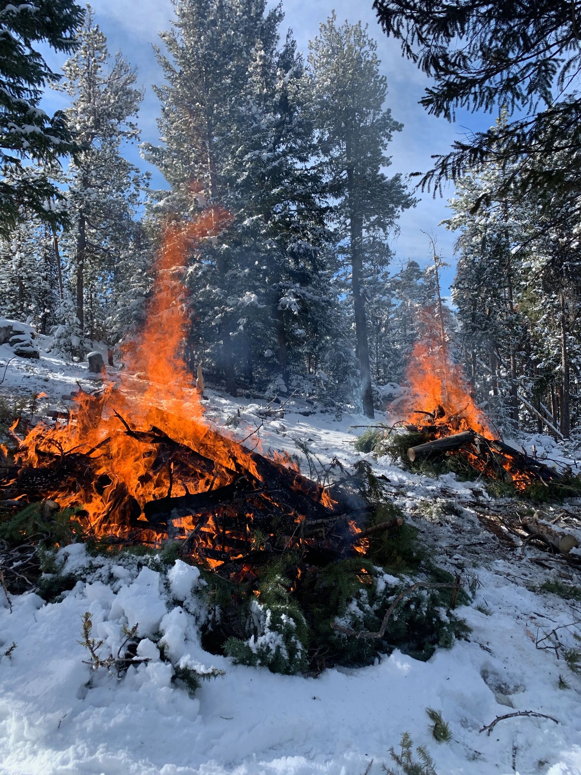 Blue Sky Fire Mitigation LLC - Wildfire Mitigation, Tree Service