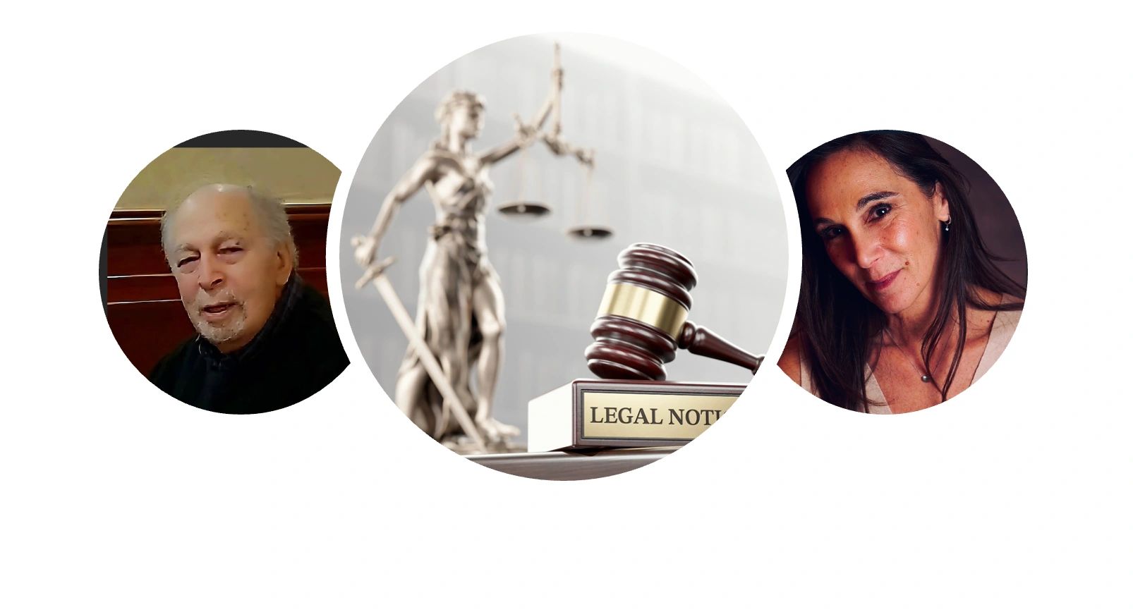 Expert Legal Representation by Bark Wolfe Attorneys