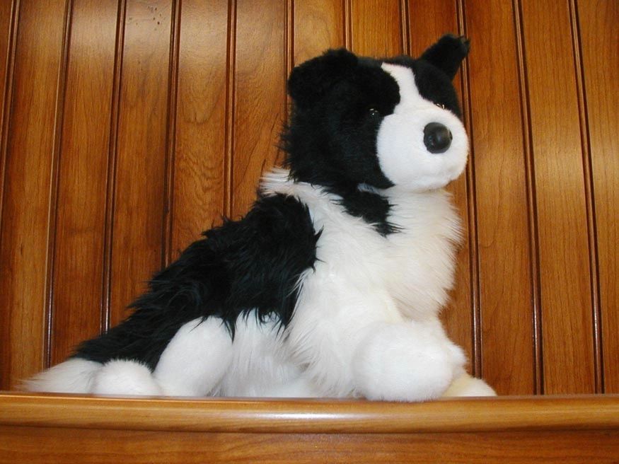 Chase Border collie Stuffed Toy