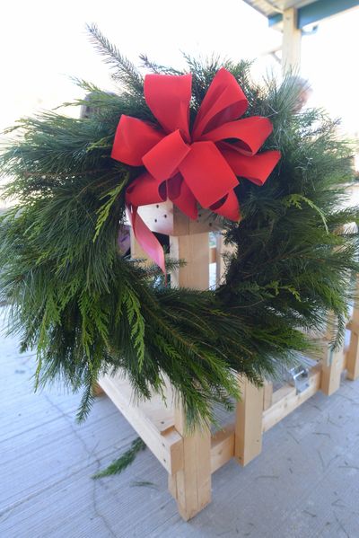 Sycamore Springs Christmas Tree Farm - Home