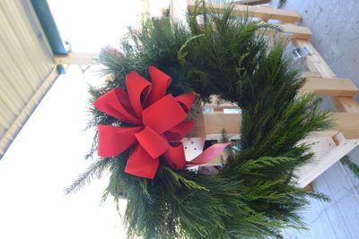 Sycamore Springs Christmas Tree Farm - Home