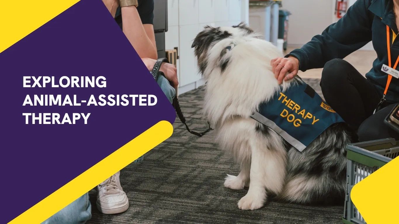 Exploring Animal Assisted Therapy