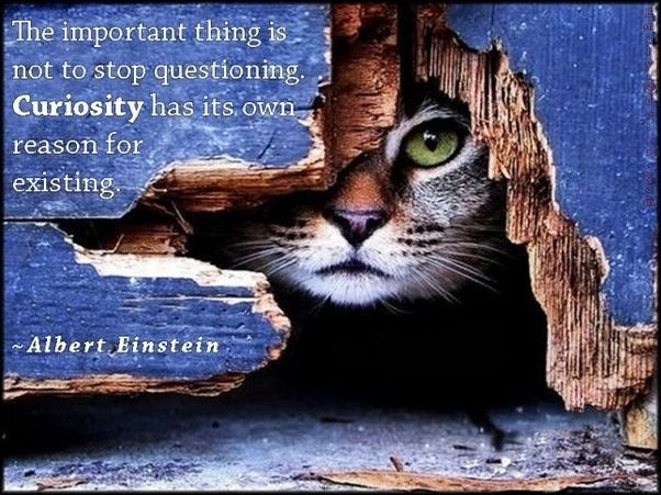 Embracing Curiosity: A Path to Mental Health and Healing