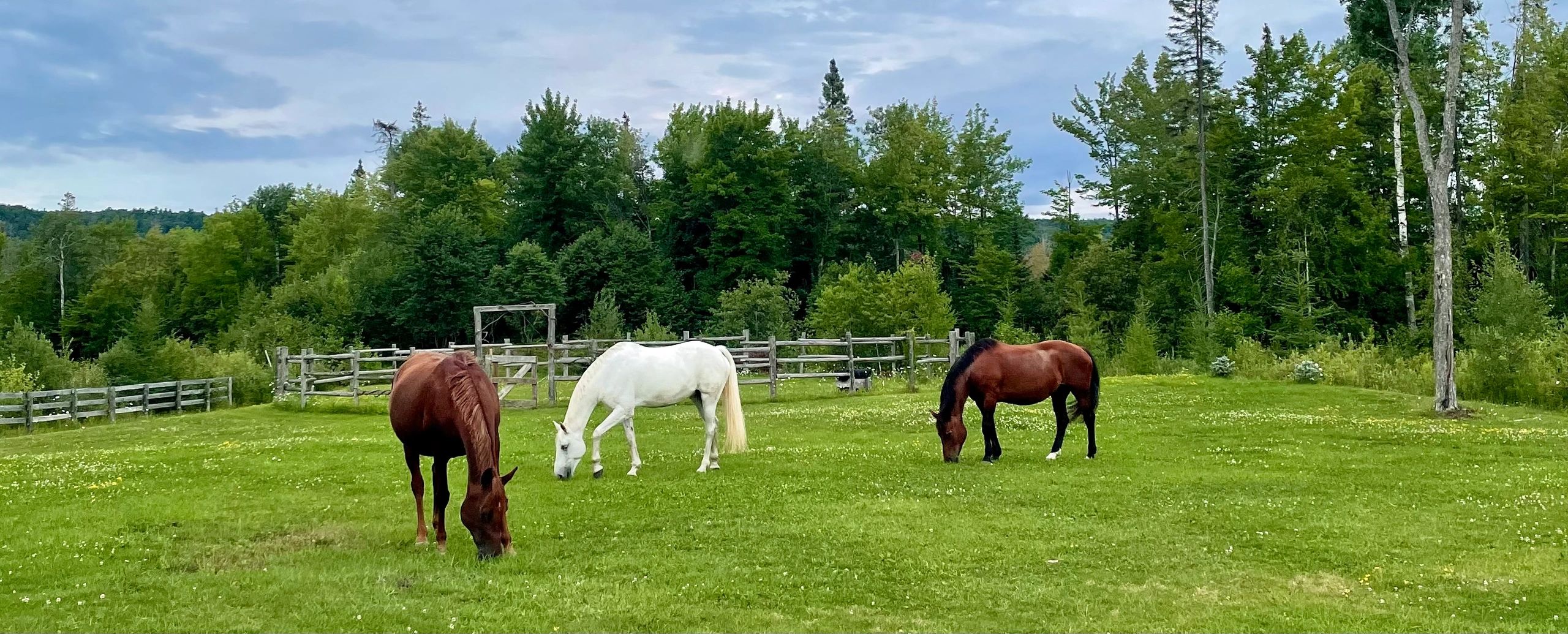 Hidden Hills Stables