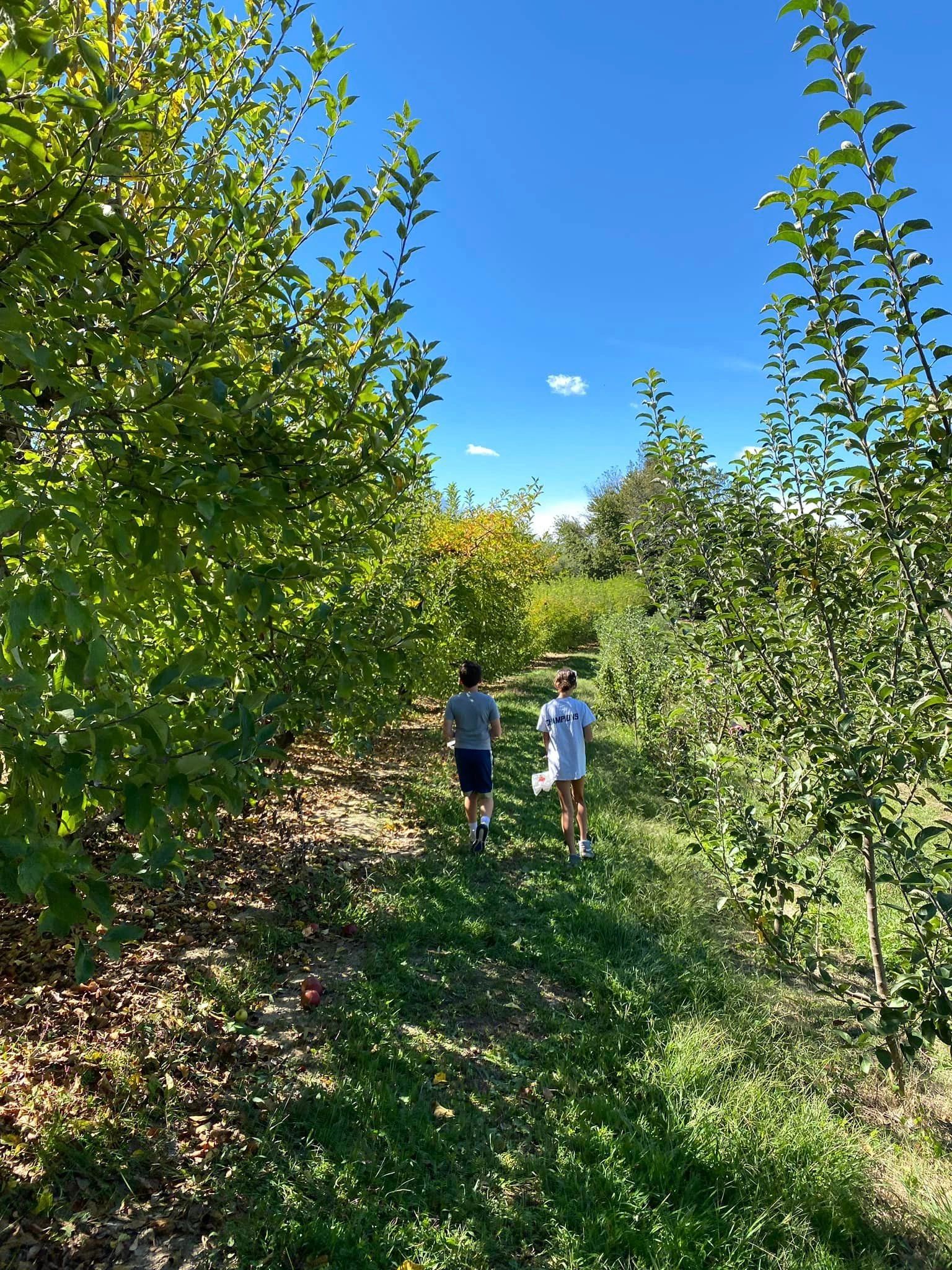 The Giving Tree Society