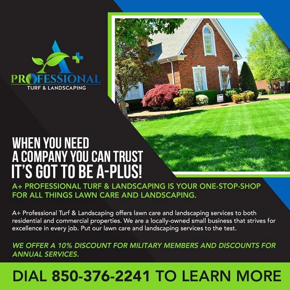 A+ Professional Turf & Landscaping - Lawncare, Landscaping