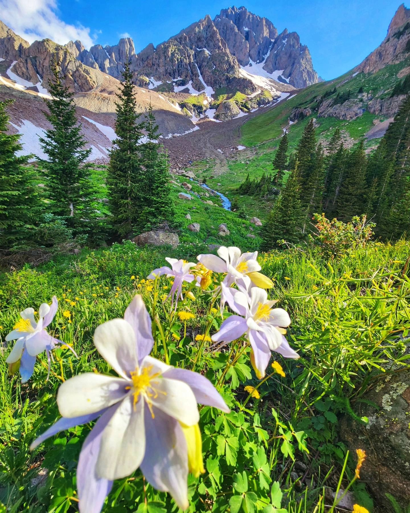 Amy Player LPC_MHSP, NBCC, Inspirational Counseling LLC