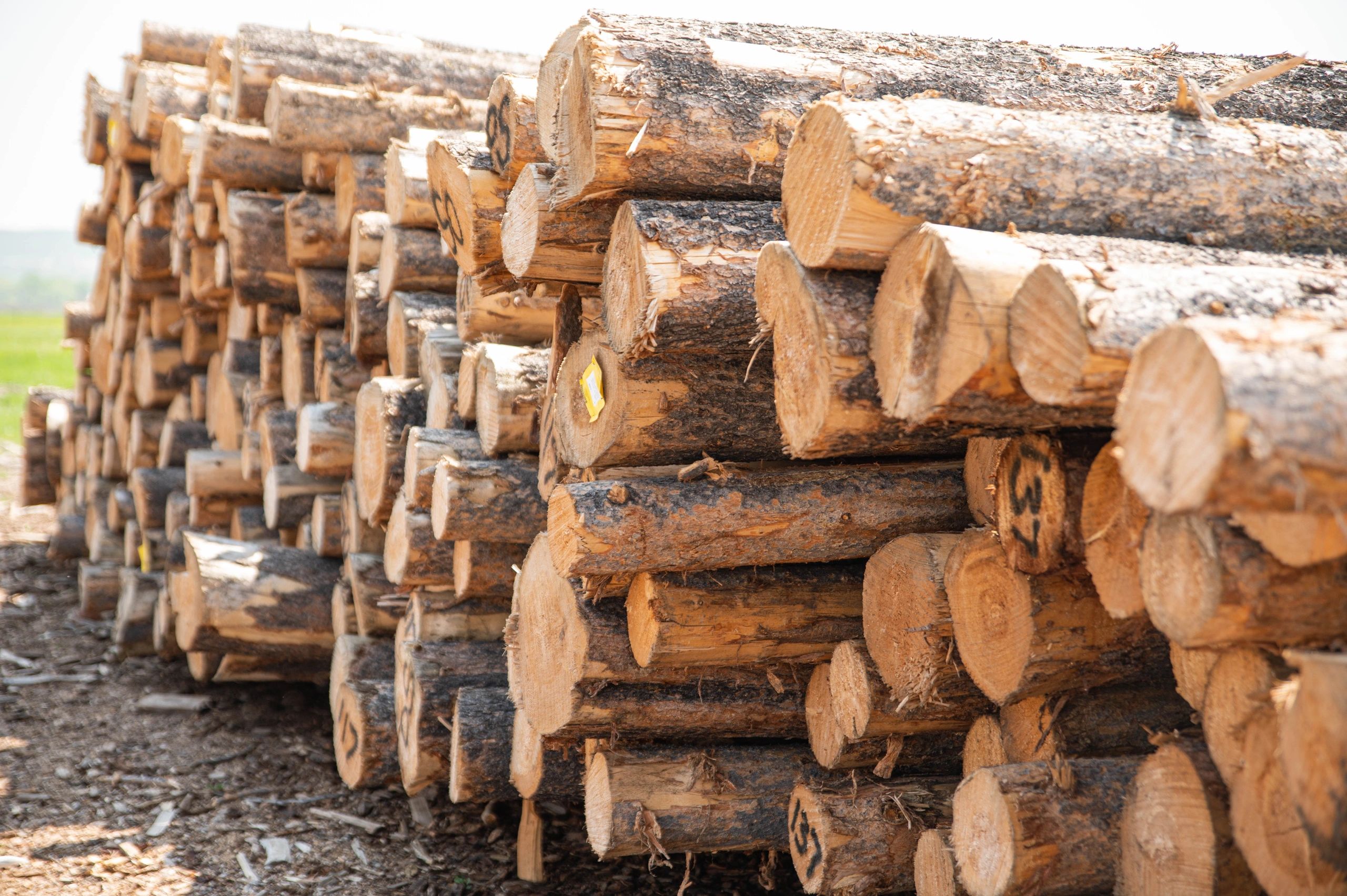 HOME [www.wyomingwood.com]