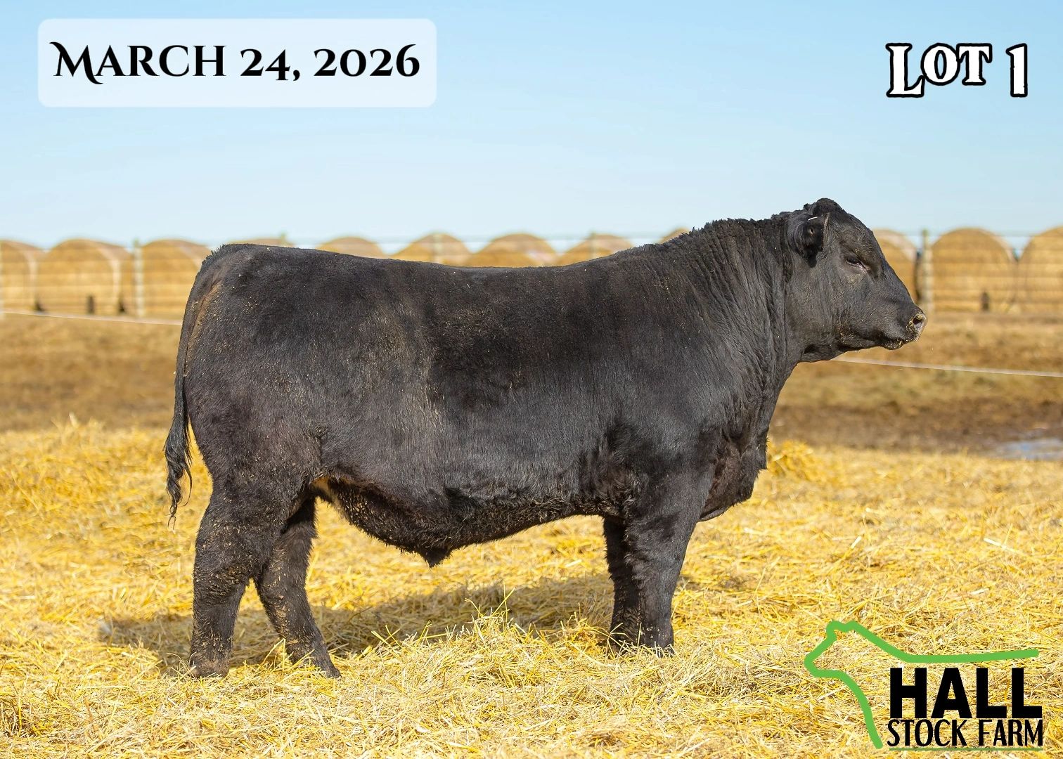 Hall Stock Farm - online