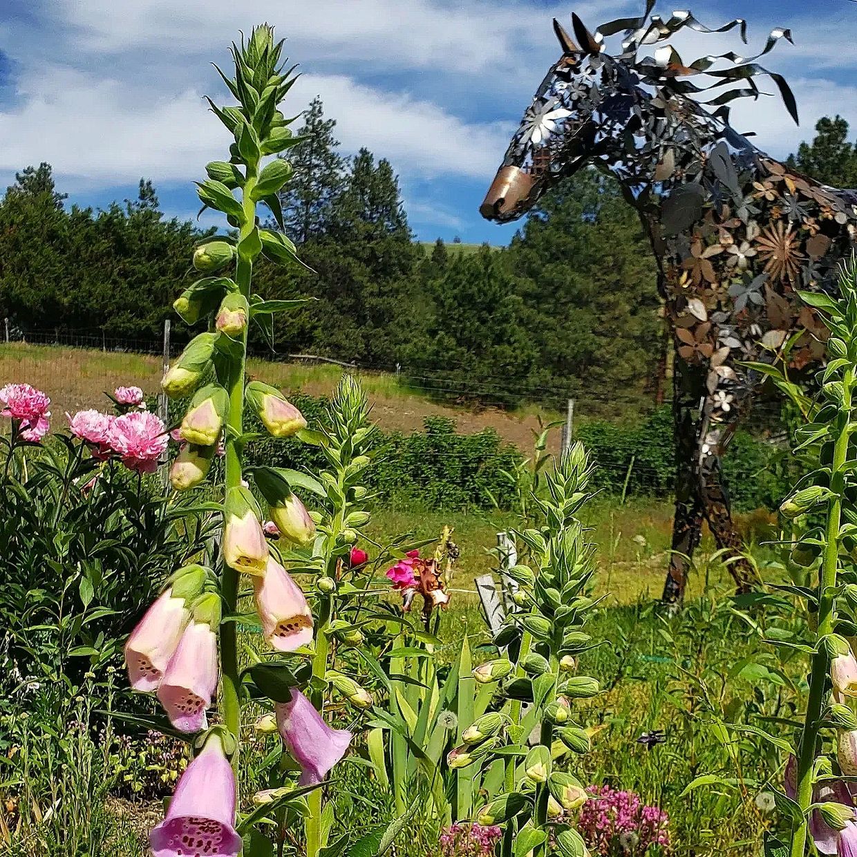 Laura Jean Welding | Montana's Botanical and Wildlife Sculptor