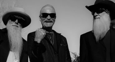 Gallery | ZZ Top Notch