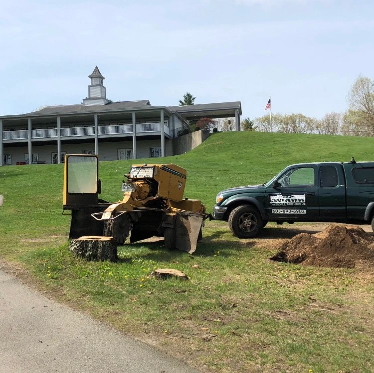 Stump Grinding - Ed's Stump Grinding Service MA & NH