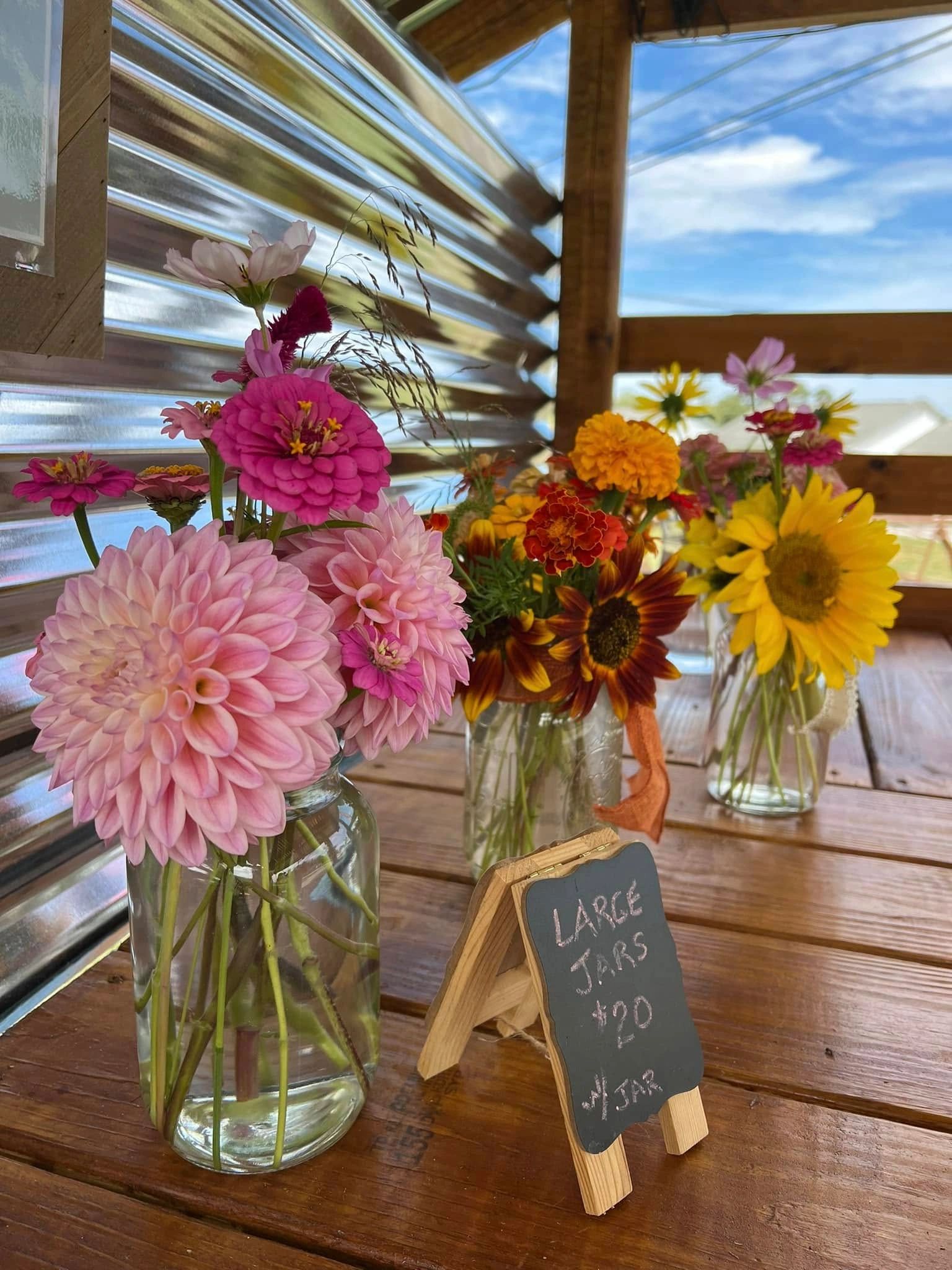 Fresh Cut Flowers - Y Not Flower Farm