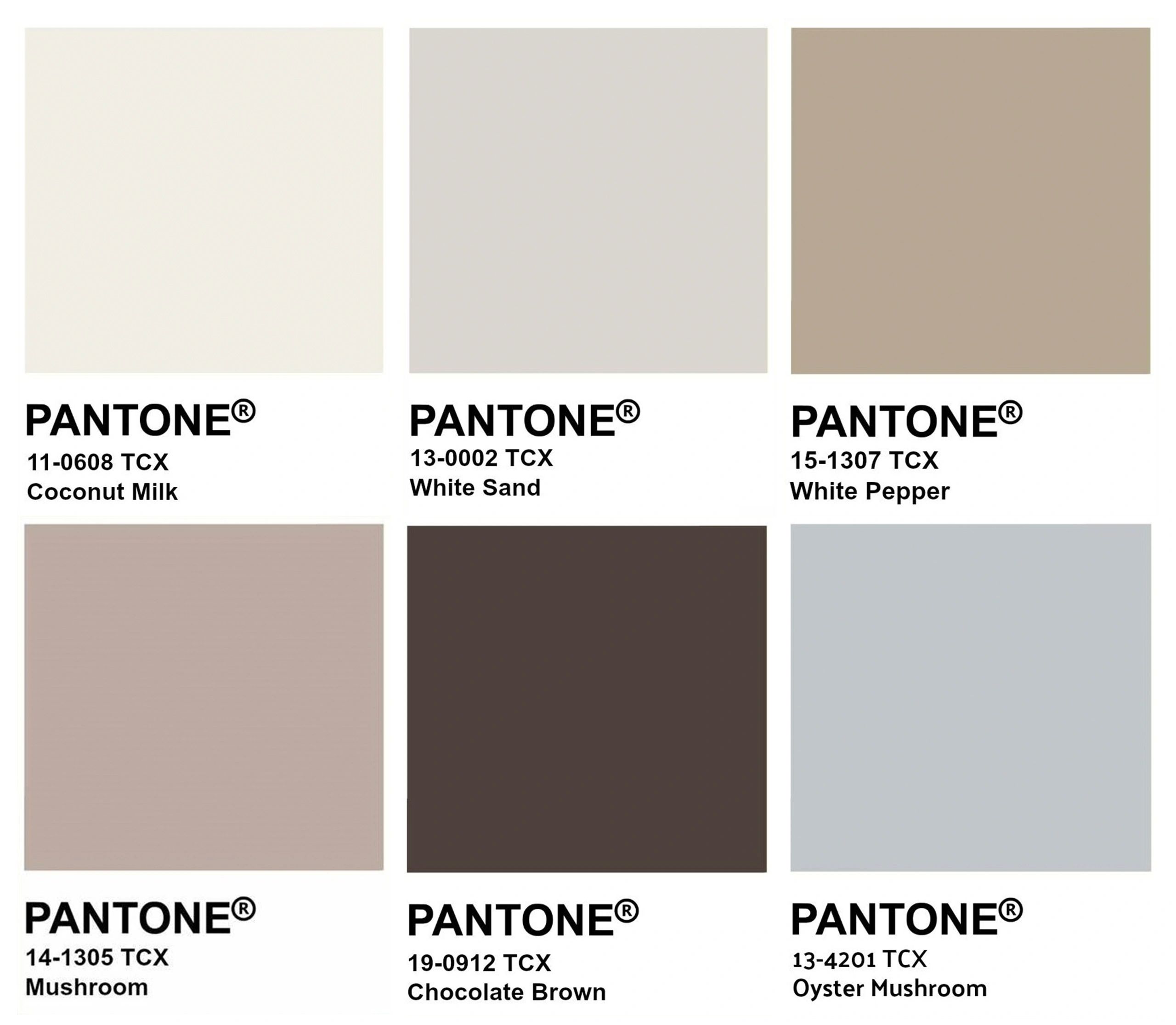 TRENDIEST COLORS OF 2024