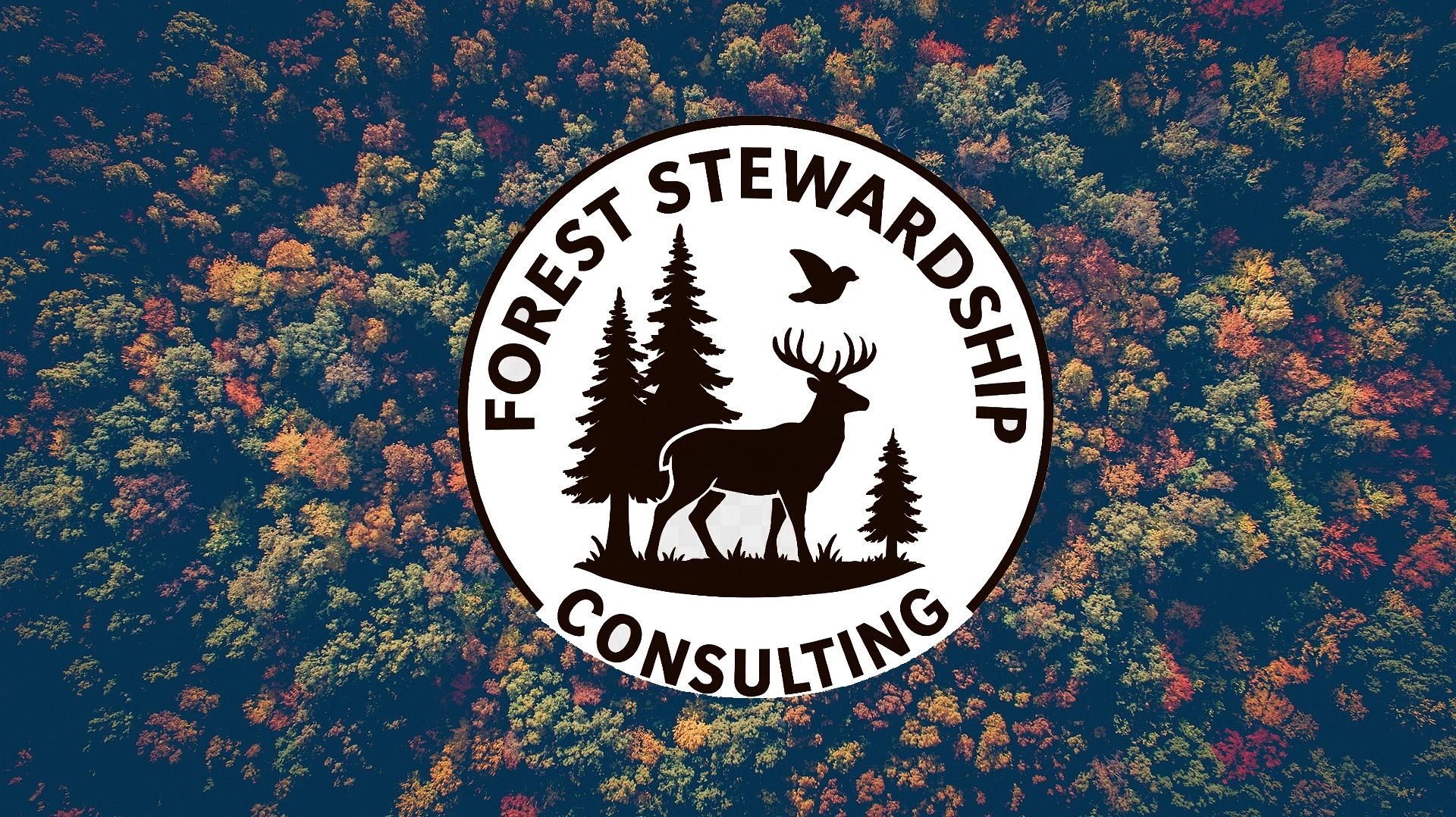 Forest Stewardship Consulting