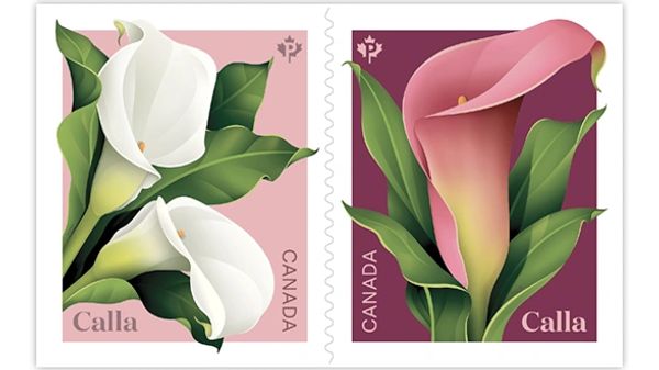 Midwest Stamp Dealers Association MSDA