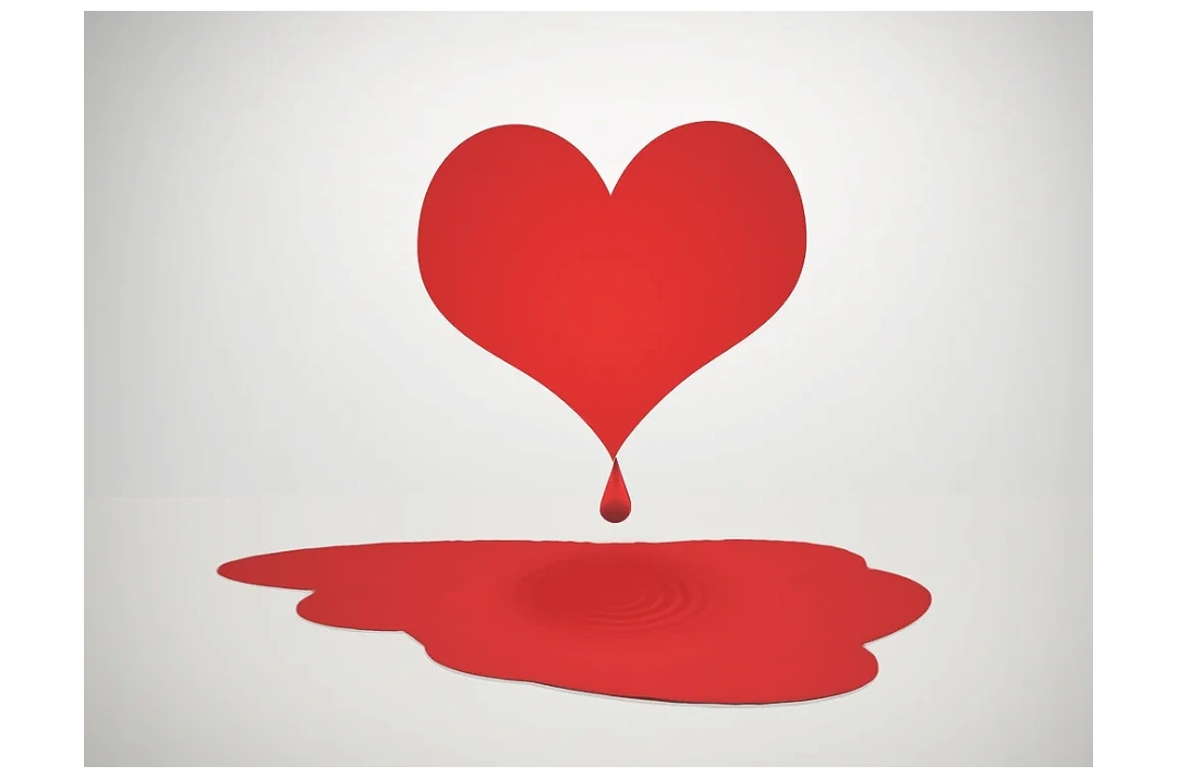 A Bleeding Heart | A Bleeding Heart