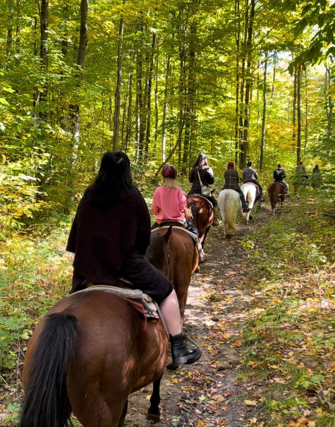 Maple Ridge Stables, LLC