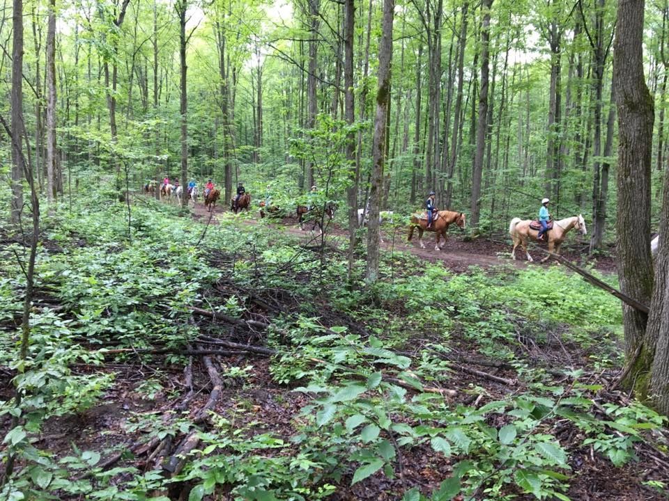 Maple Ridge Stables, LLC