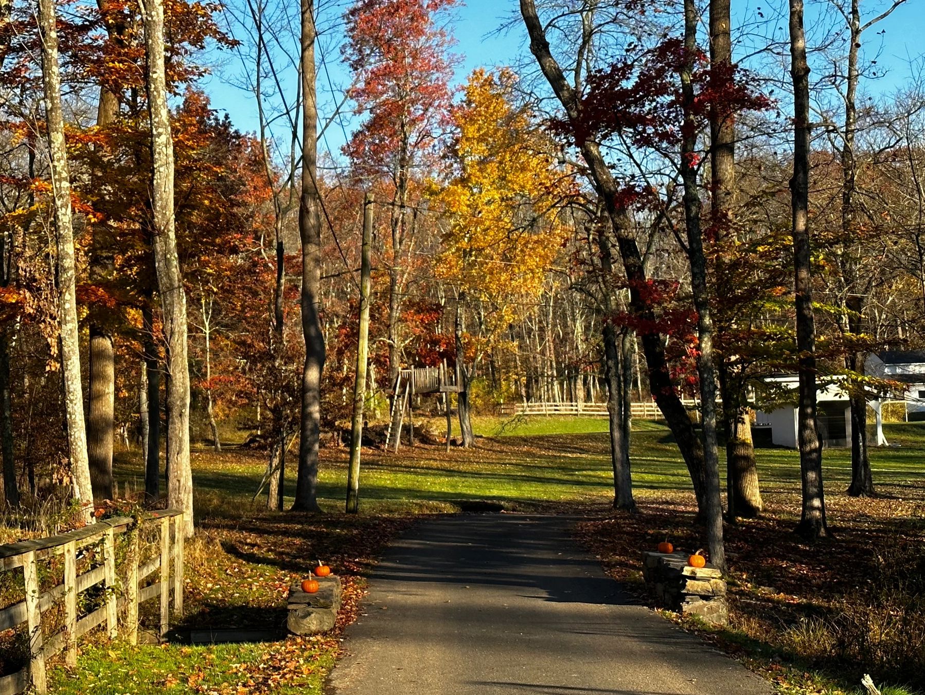Hiking on Sourland Mountain | The 1890 at Huntland Farm
