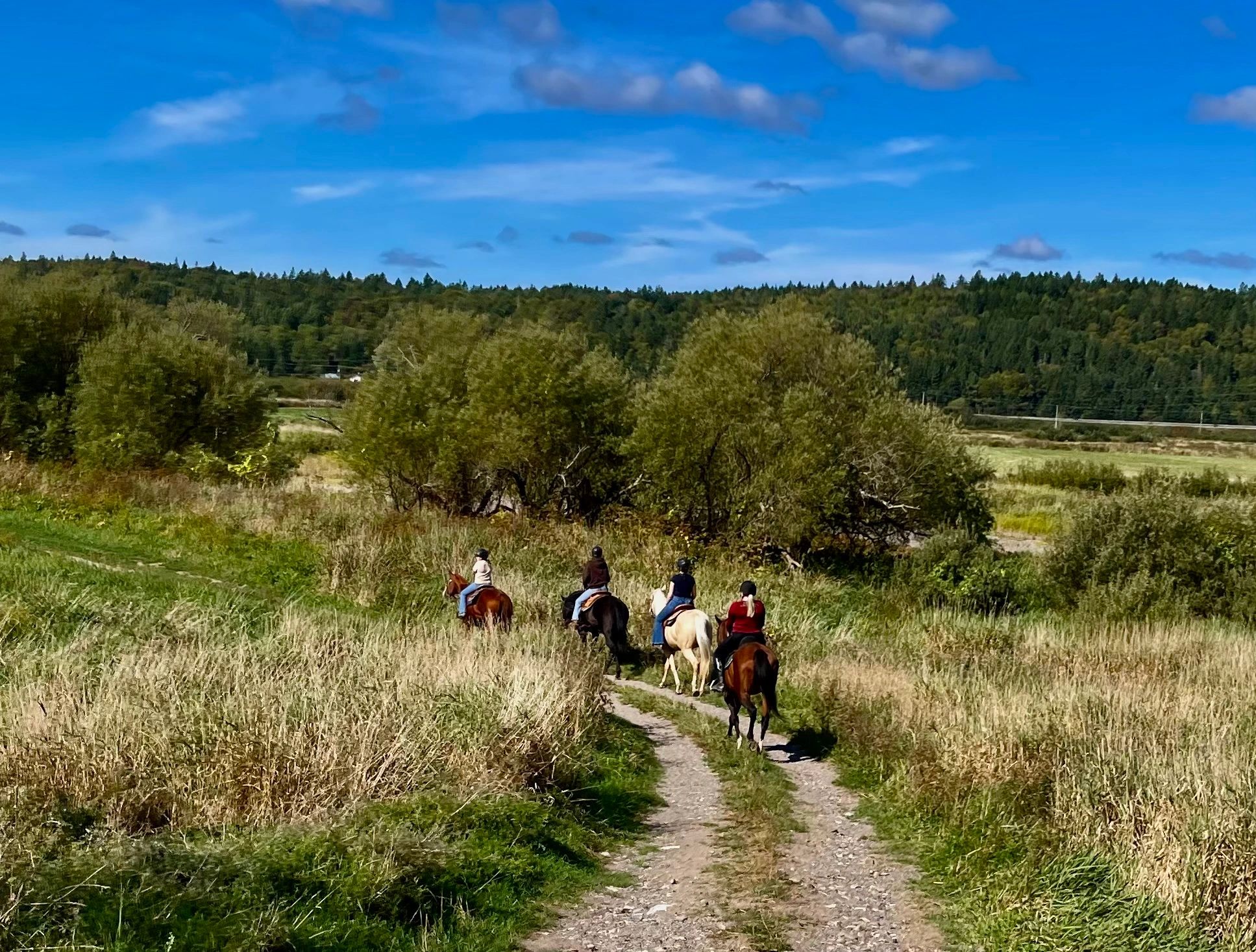 Unforgettable Horse Riding Experience in Nature