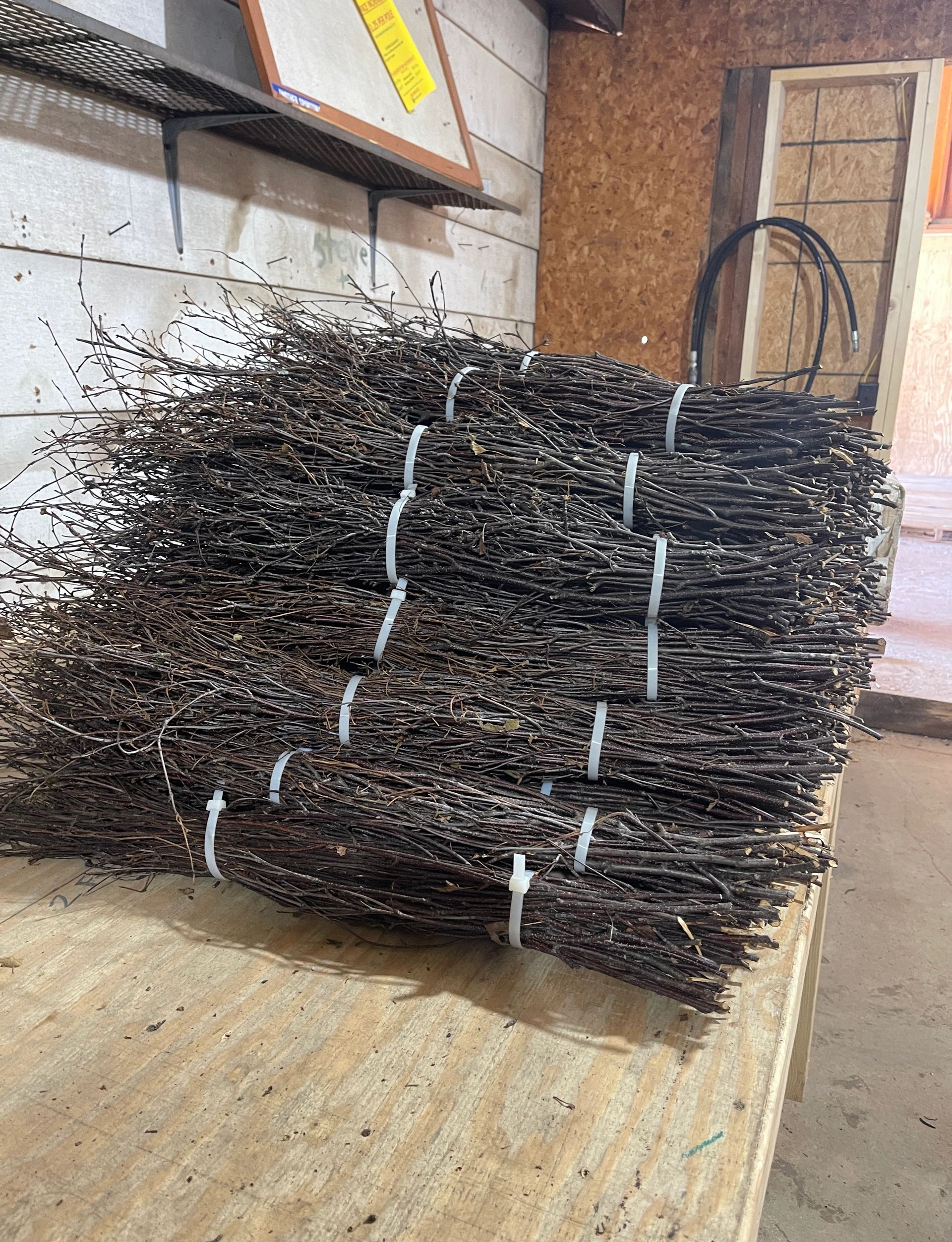 Birch Branches Wholesale