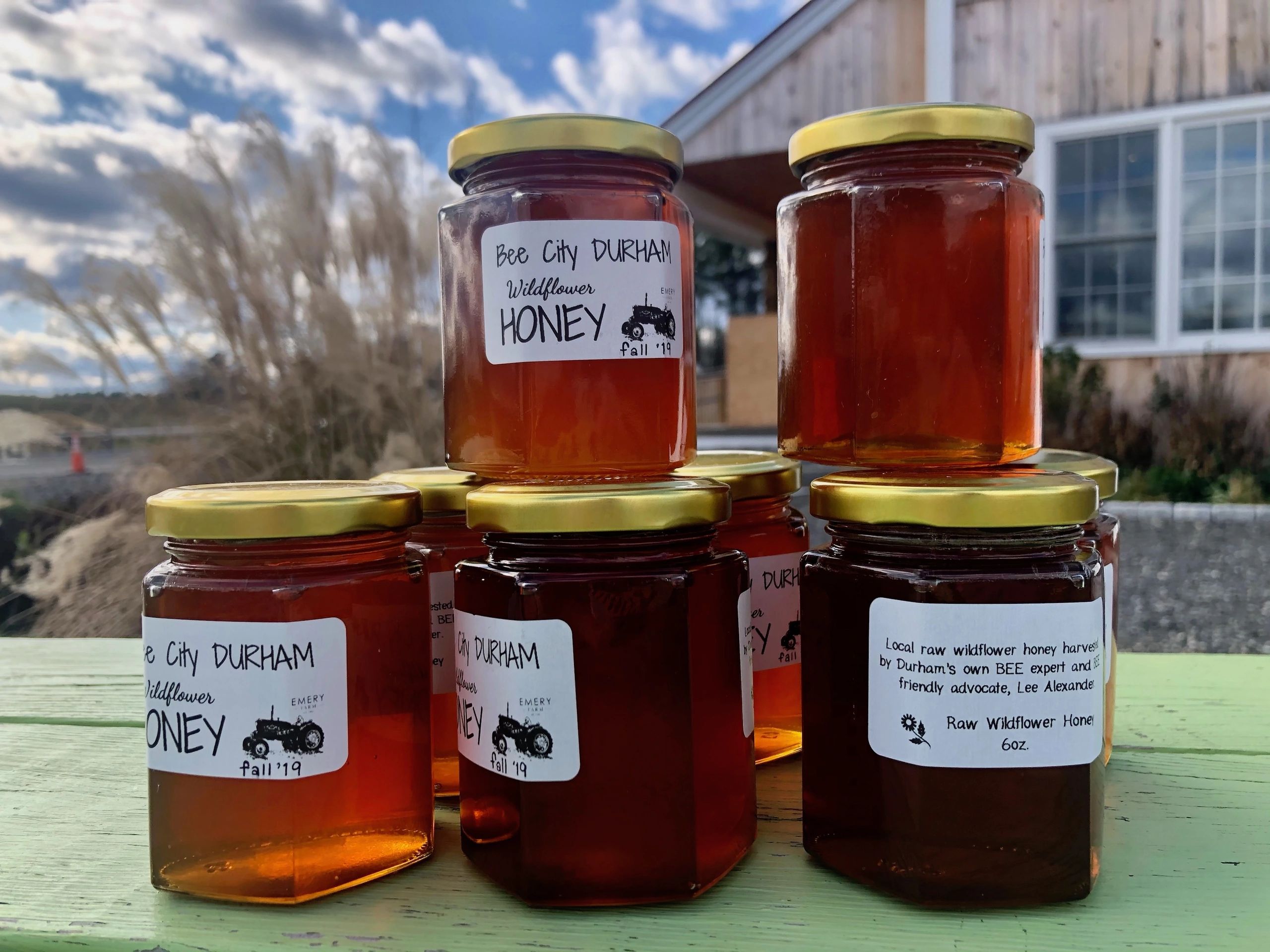 Bee City USA: What is all the buzz about?