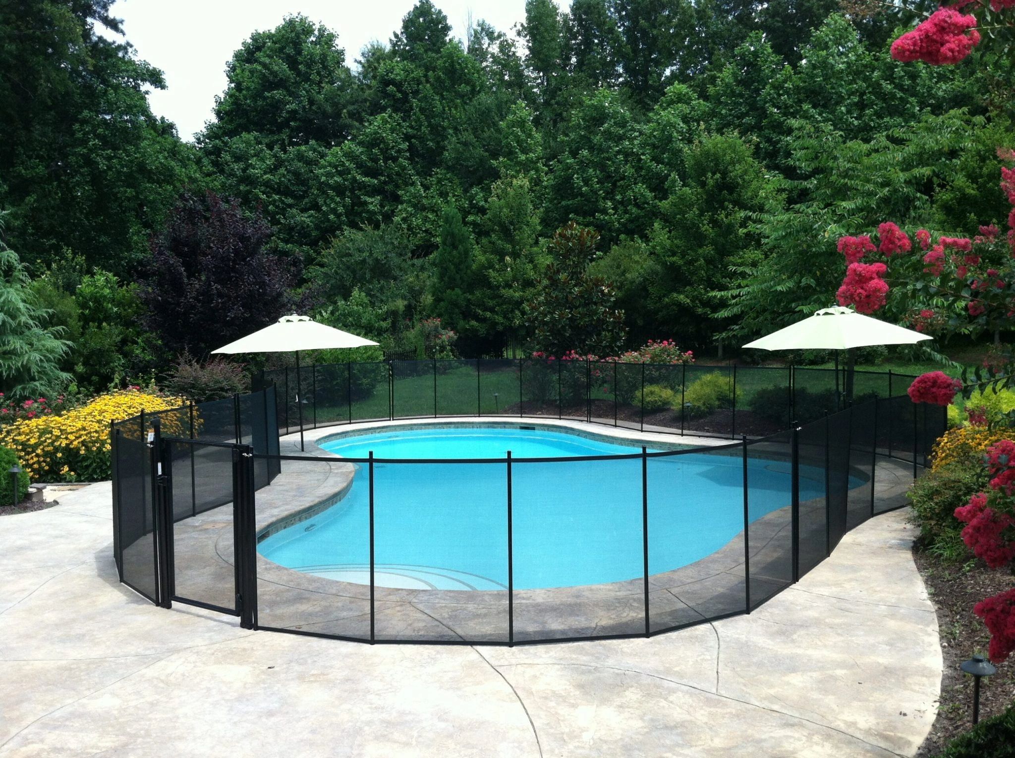 Pool Safety Solutions | Services