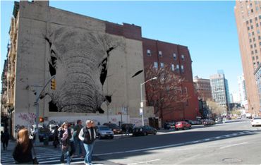 Series | Max Steven Grossman Photography