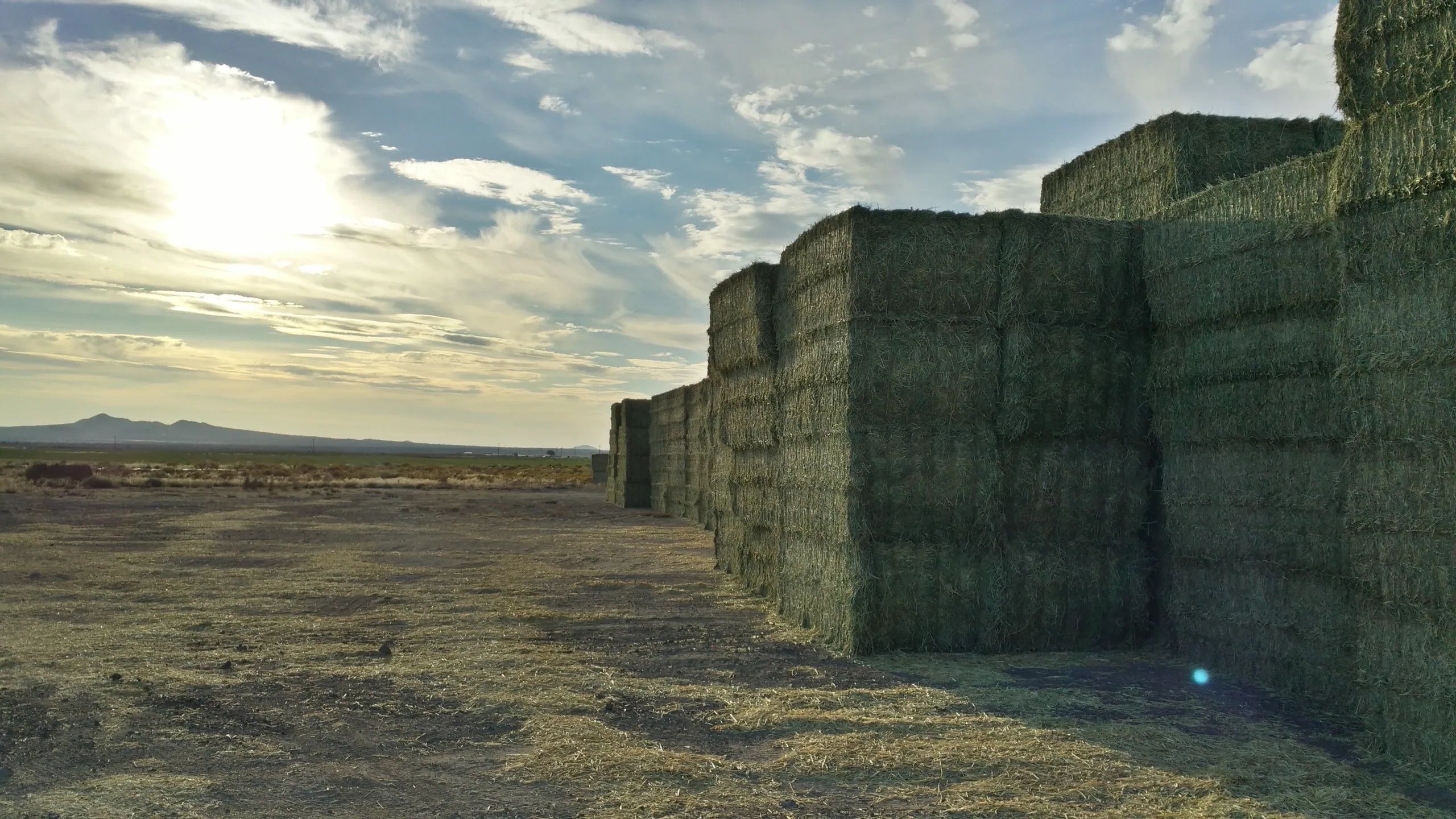 Gallery | Unitedhaypress.com