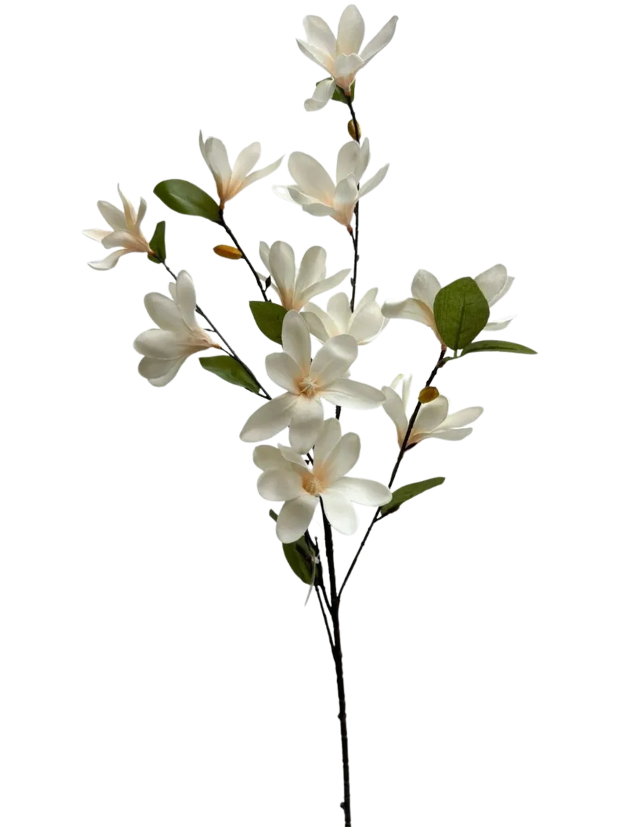 BLUSH MAGNOLIA STEM