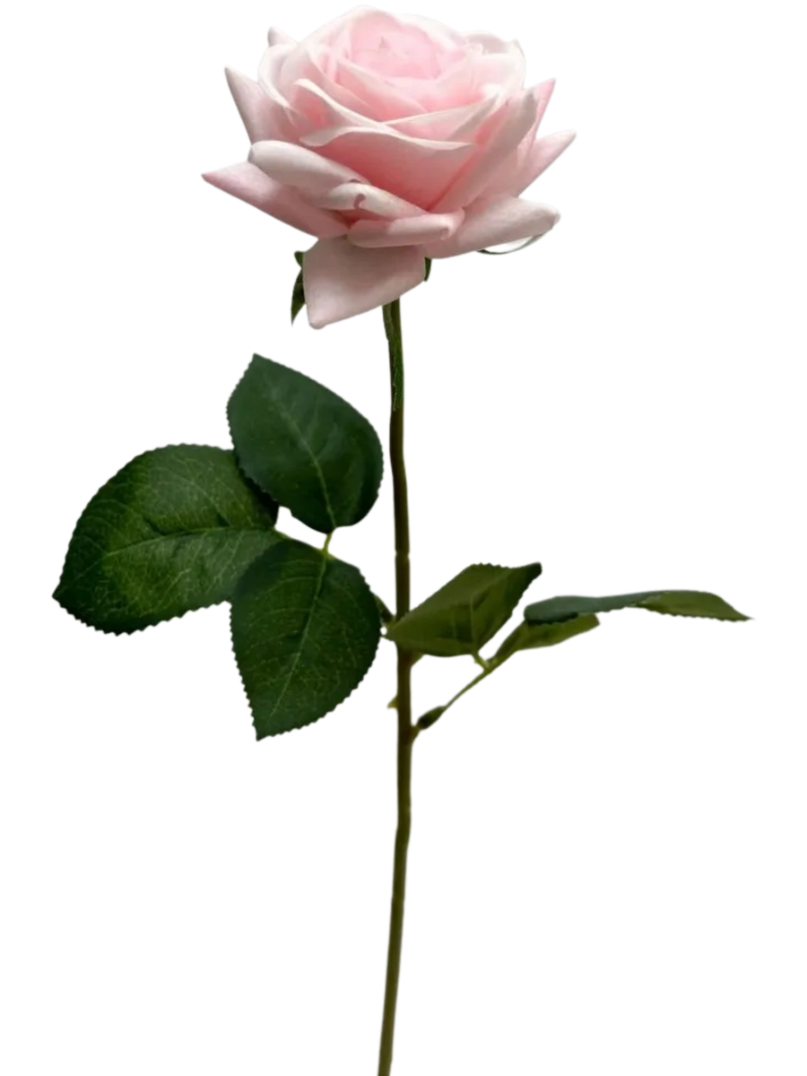 LT.PINK SINGLE ROSE STEM