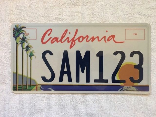 7. Arts License Plate Wrap
