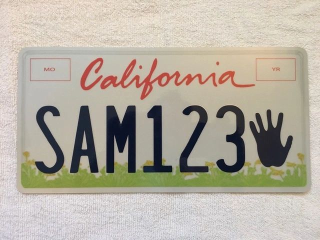 8. Kid's License Plate Wrap