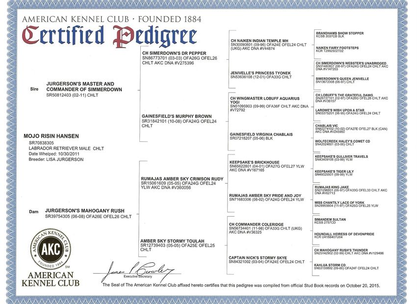 Males | Mystic Ridge Farms/ Shannonn and Tami Hansen