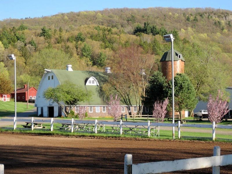 Folly Farm Simsbury: Premier Show Stables & Riding School